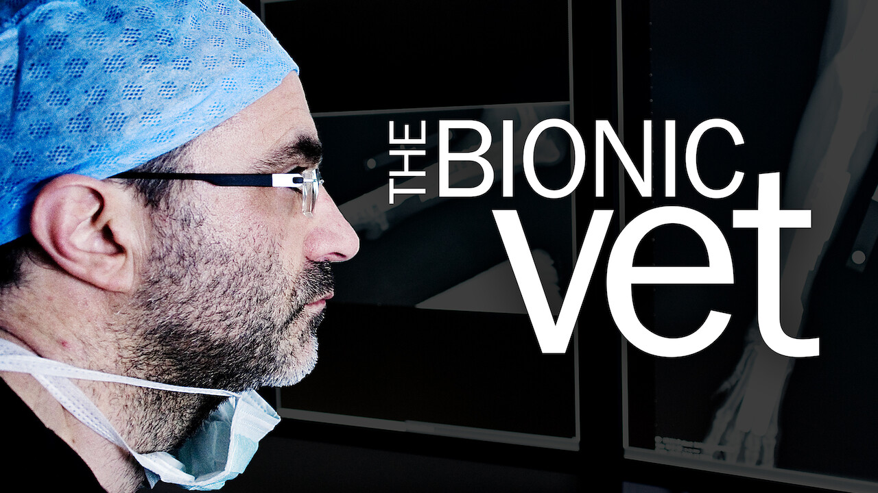 Is 'The Bionic Vet' on Netflix in Australia? Where to Watch the ...